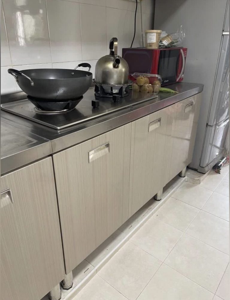 Coloured Door Modular Stainless Steel Kitchen Cabinet | Living Solution